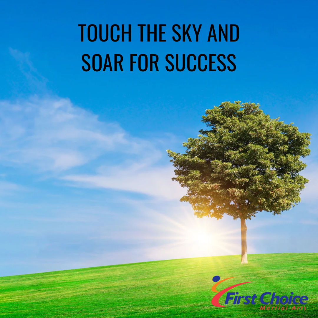 Touch the Sky and Soar for Success – First Choice Martial Arts